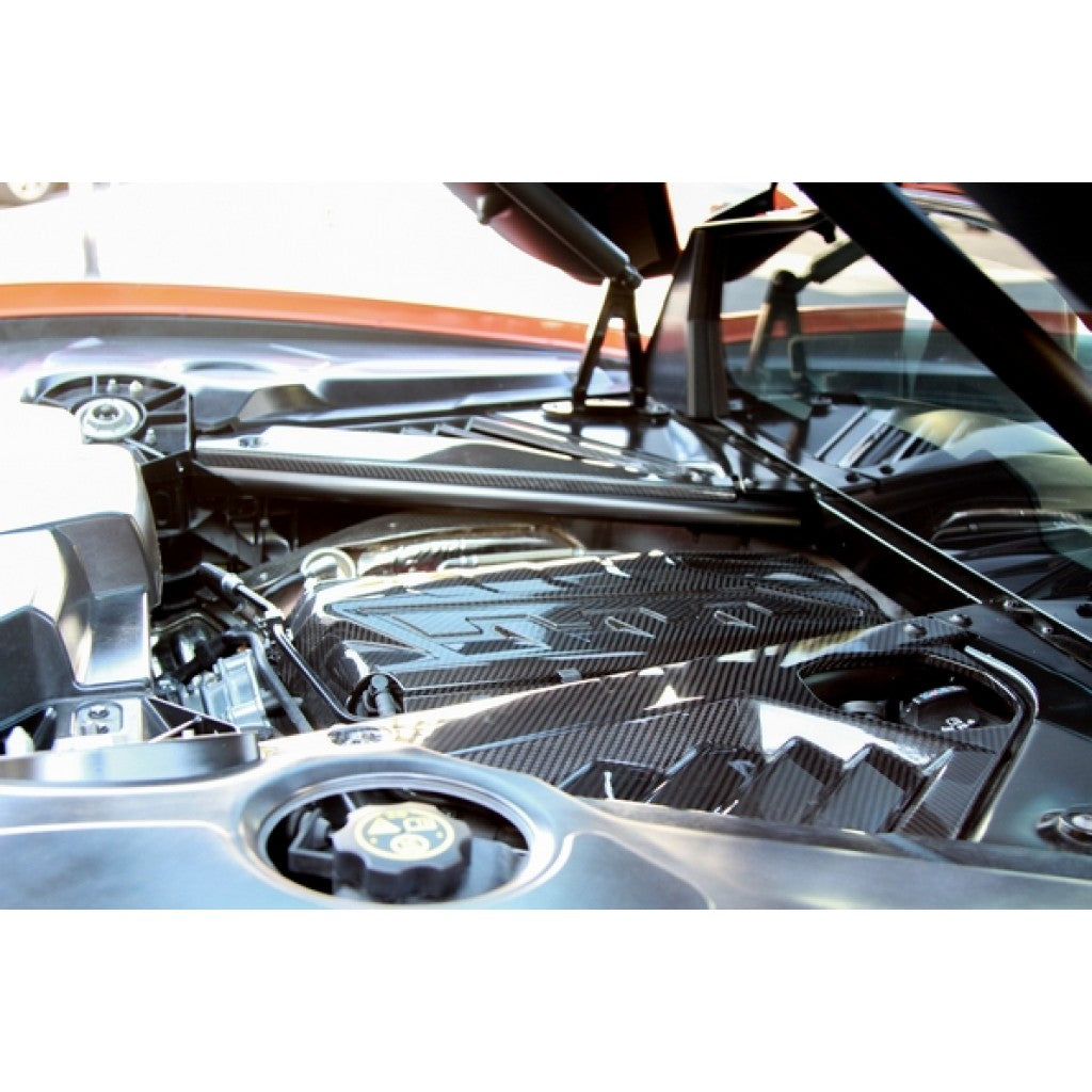 Chevrolet Corvette C8 Carbon Fiber Engine Plenum Cover, Appearance Pan ...