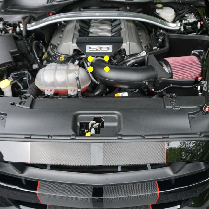 ZSPEC Throttle Body Fastener Kit for '05-14 Mustang S197 & '15-21 S550 - Island Racewerks